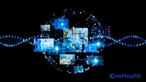 About Us | One Health